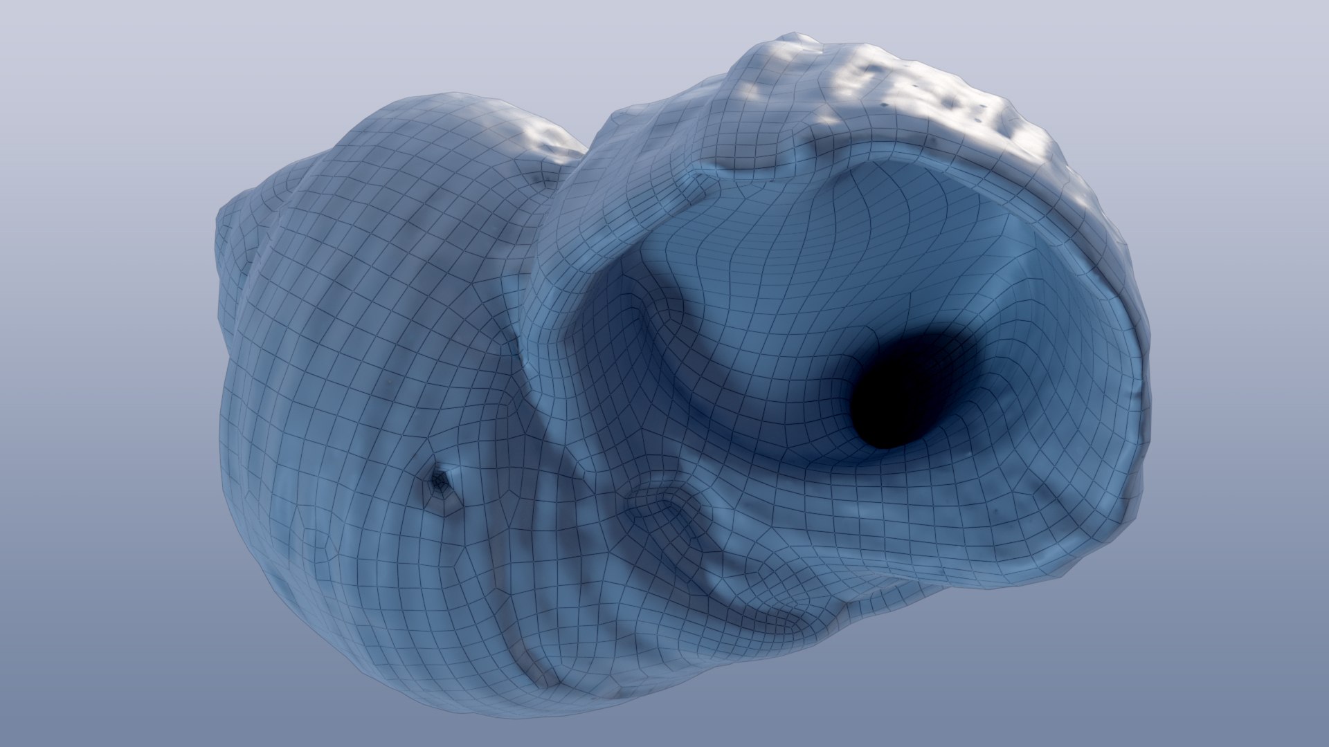 Seashell Conch B 3D Model - TurboSquid 1946660