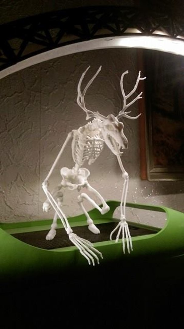 Wendigo Skeleton model - TurboSquid 1835618