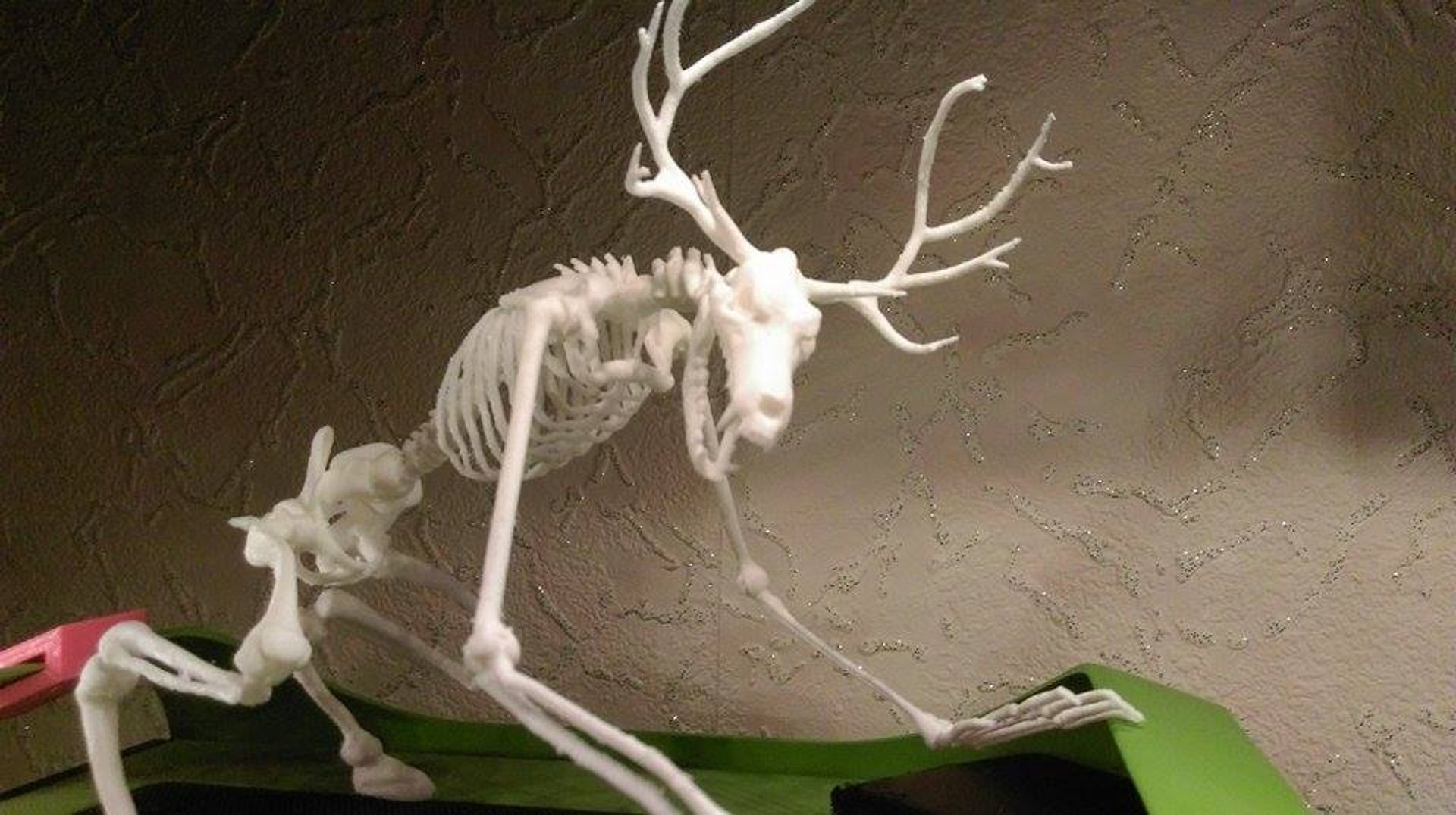 Wendigo Skeleton model - TurboSquid 1835618