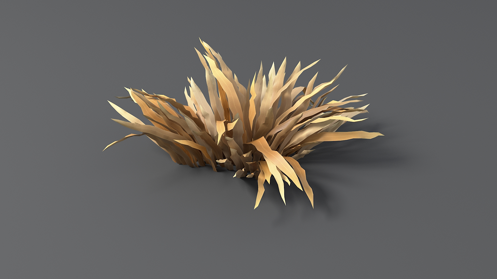 Cartoon Dry Grass 07 3D Model - TurboSquid 2047534