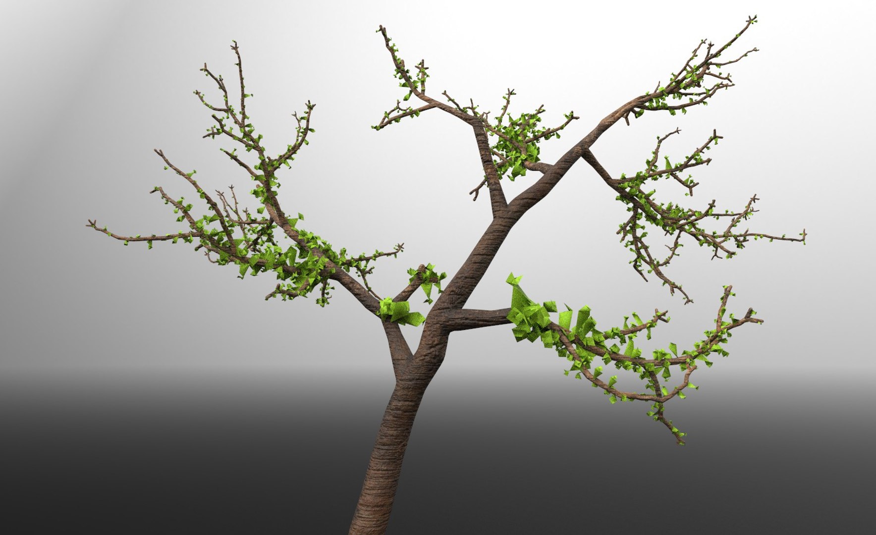 tree green 3d fbx
