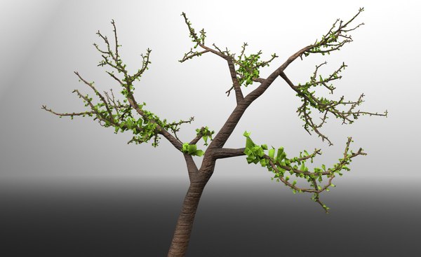 tree green 3d fbx