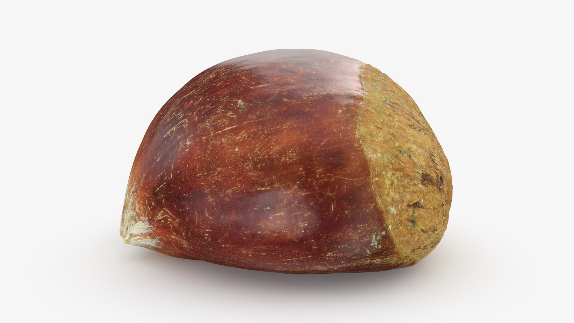 3D Model Chestnut 03 - TurboSquid 2348299