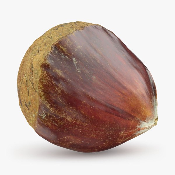 modelo 3d Castaño 03 - TurboSquid 2348299