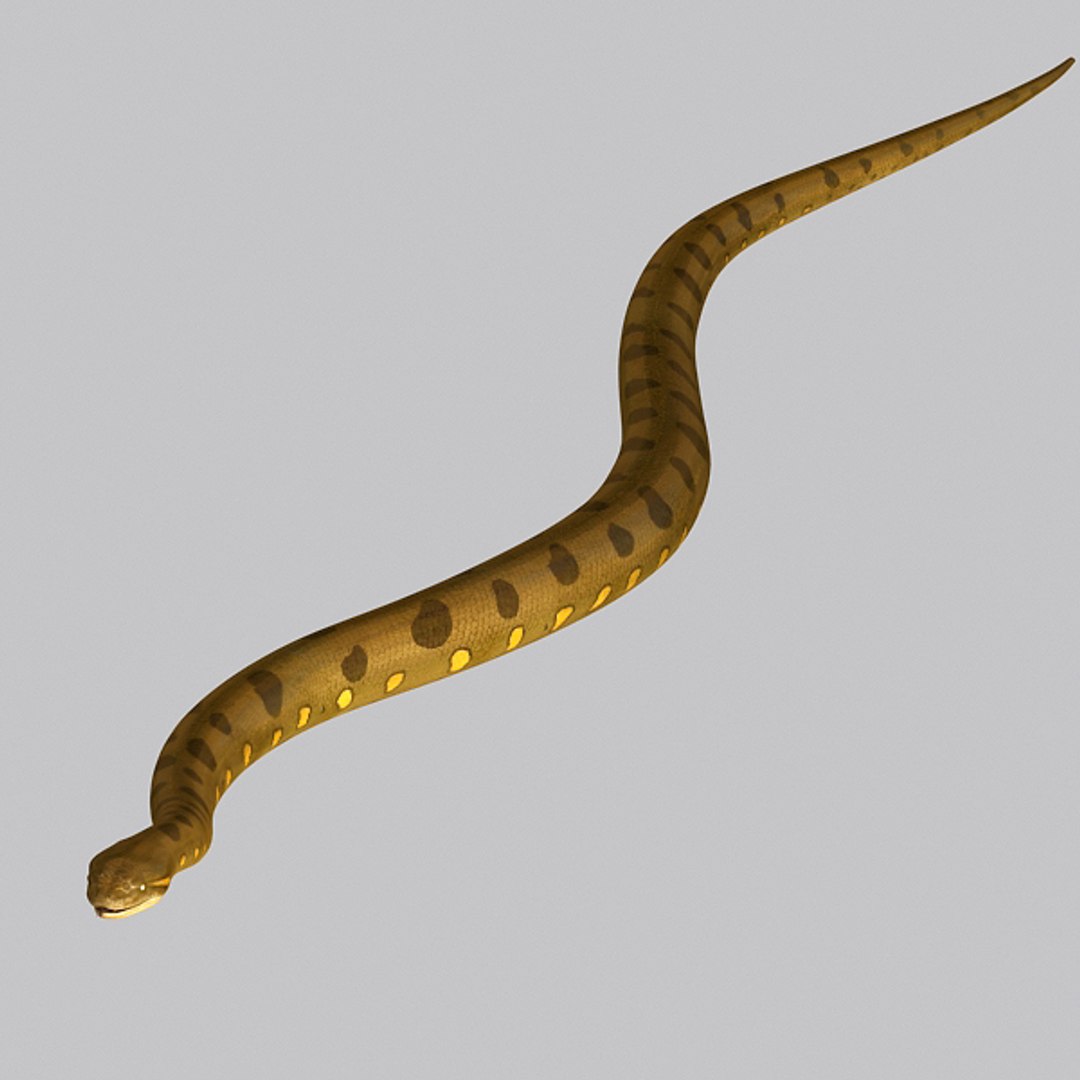 3ds Max Anaconda Snake