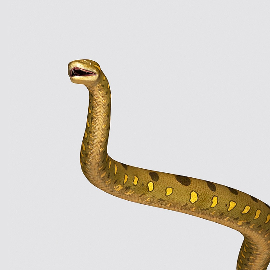 3ds Max Anaconda Snake
