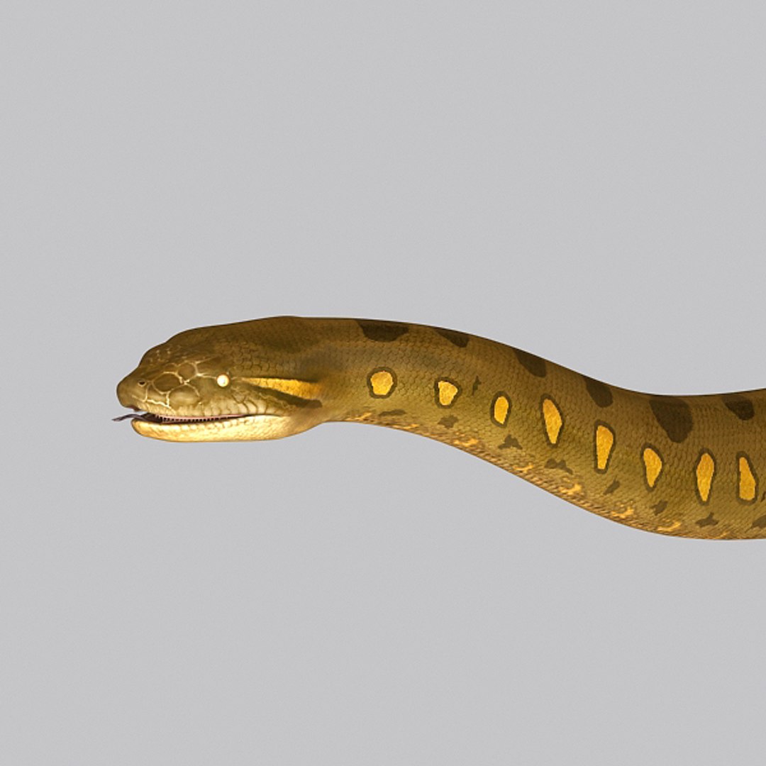 3ds Max Anaconda Snake