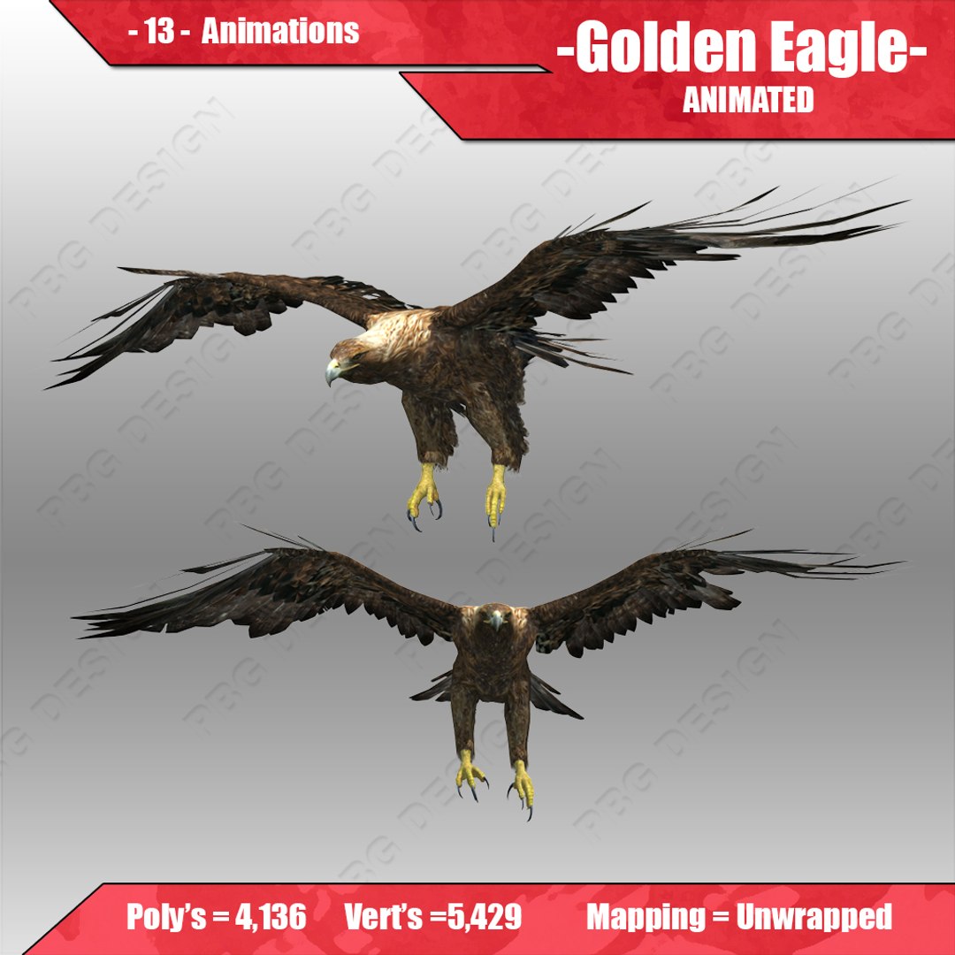 Golden Eagle Animations 3d Max