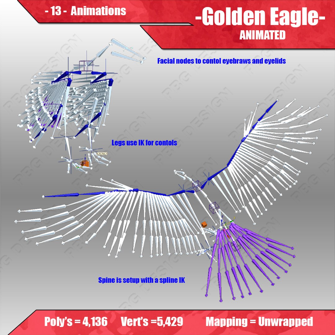 Golden Eagle Animations 3d Max