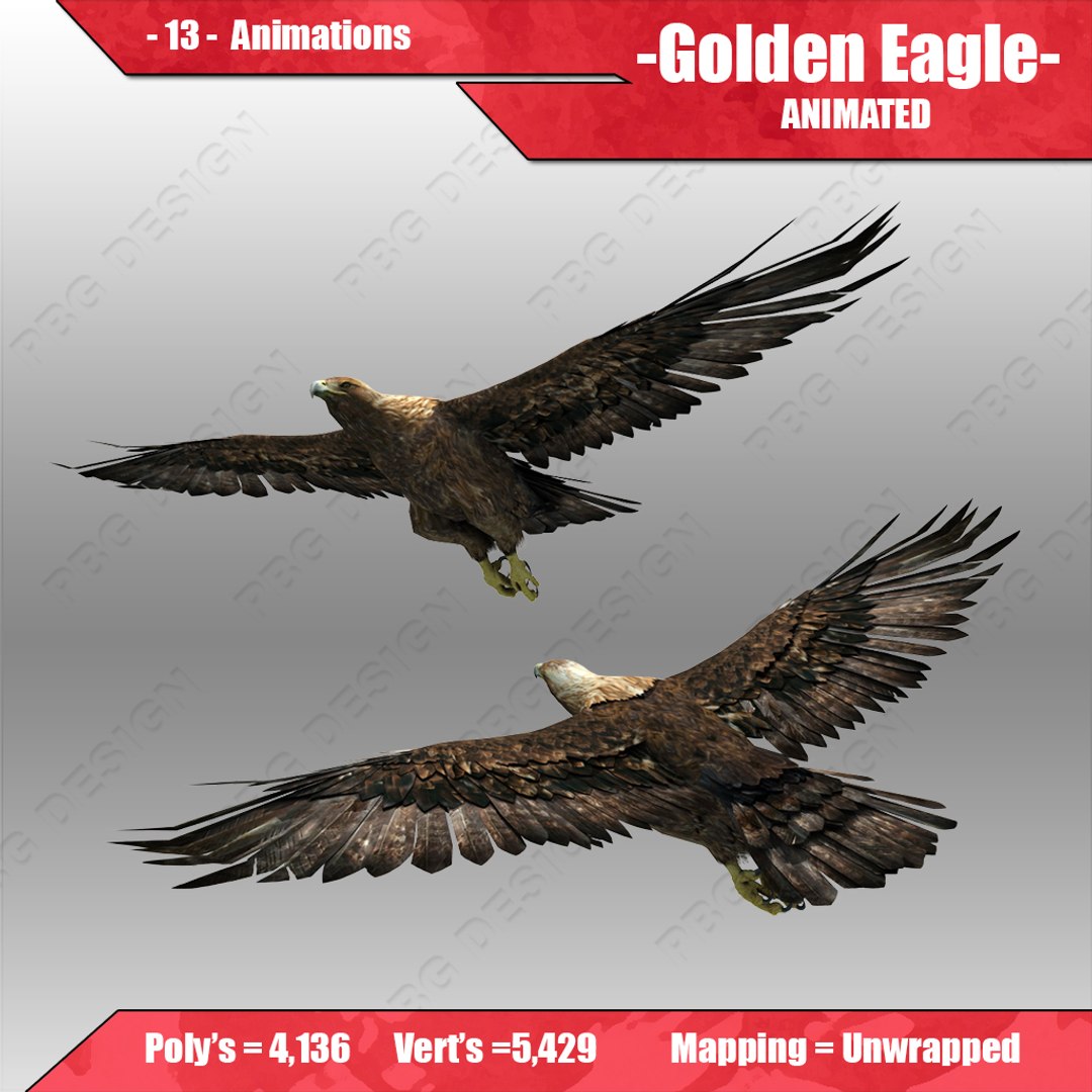 Golden Eagle Animations 3d Max