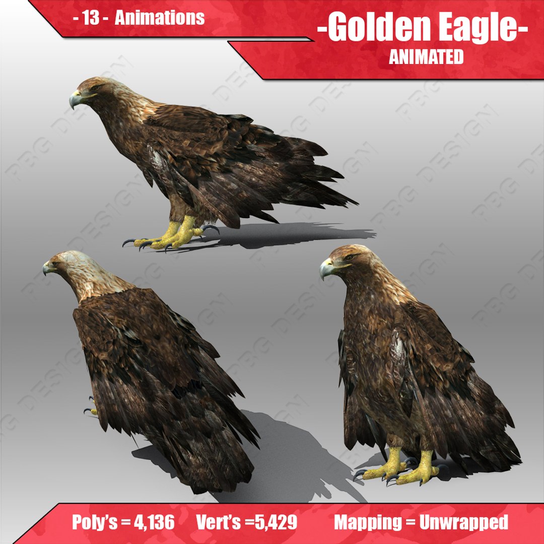 Golden Eagle Animations 3d Max