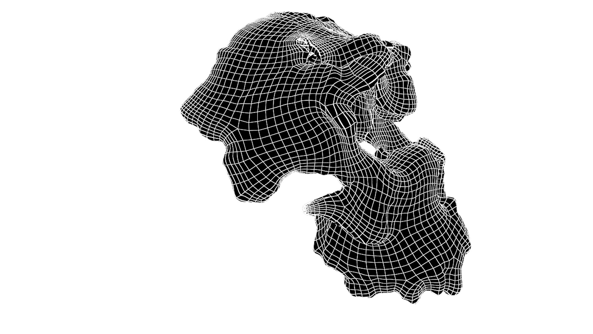 3D Human Skulls Homo Antecessor - TurboSquid 1346480