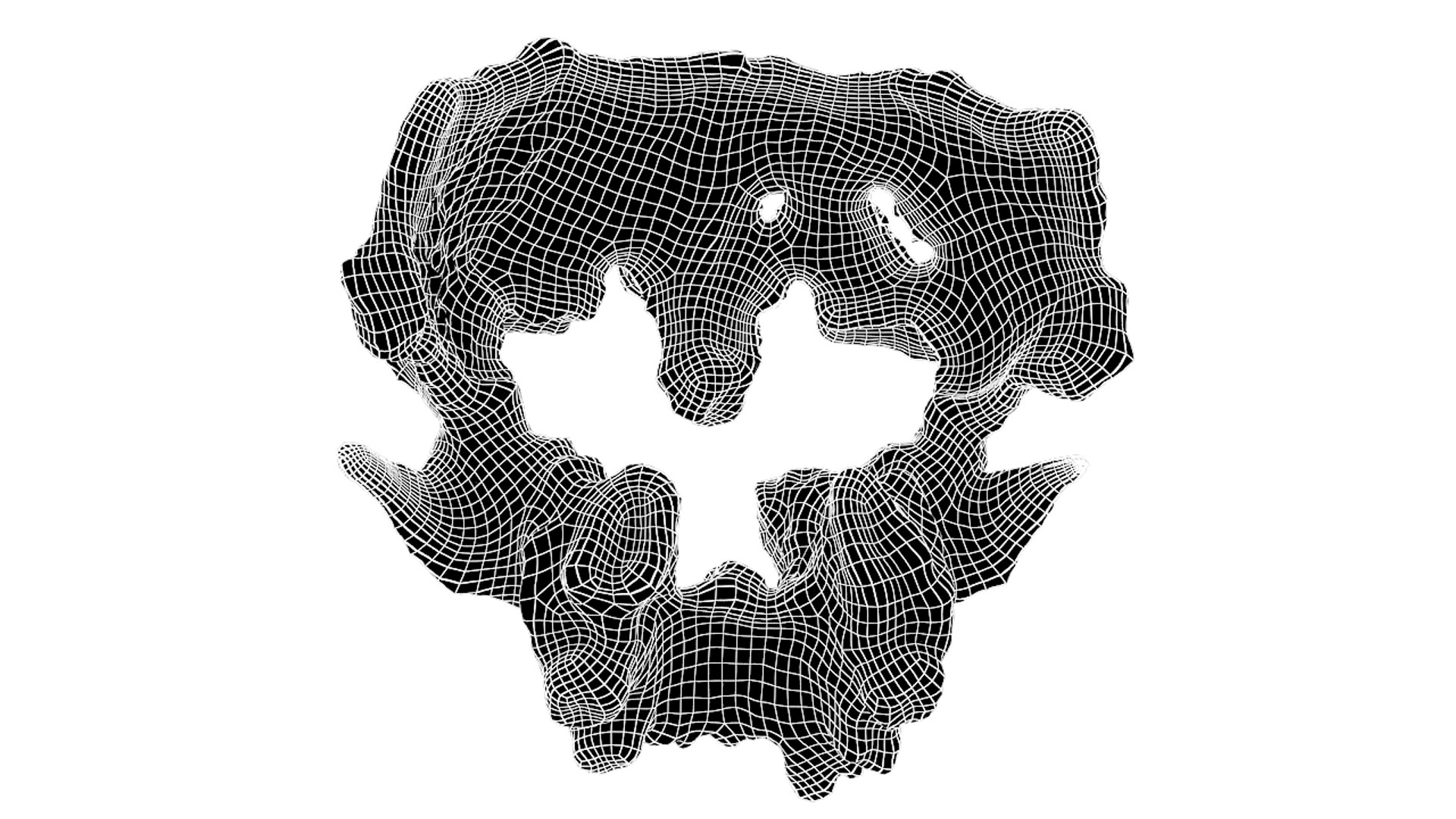 3D Human Skulls Homo Antecessor - TurboSquid 1346480