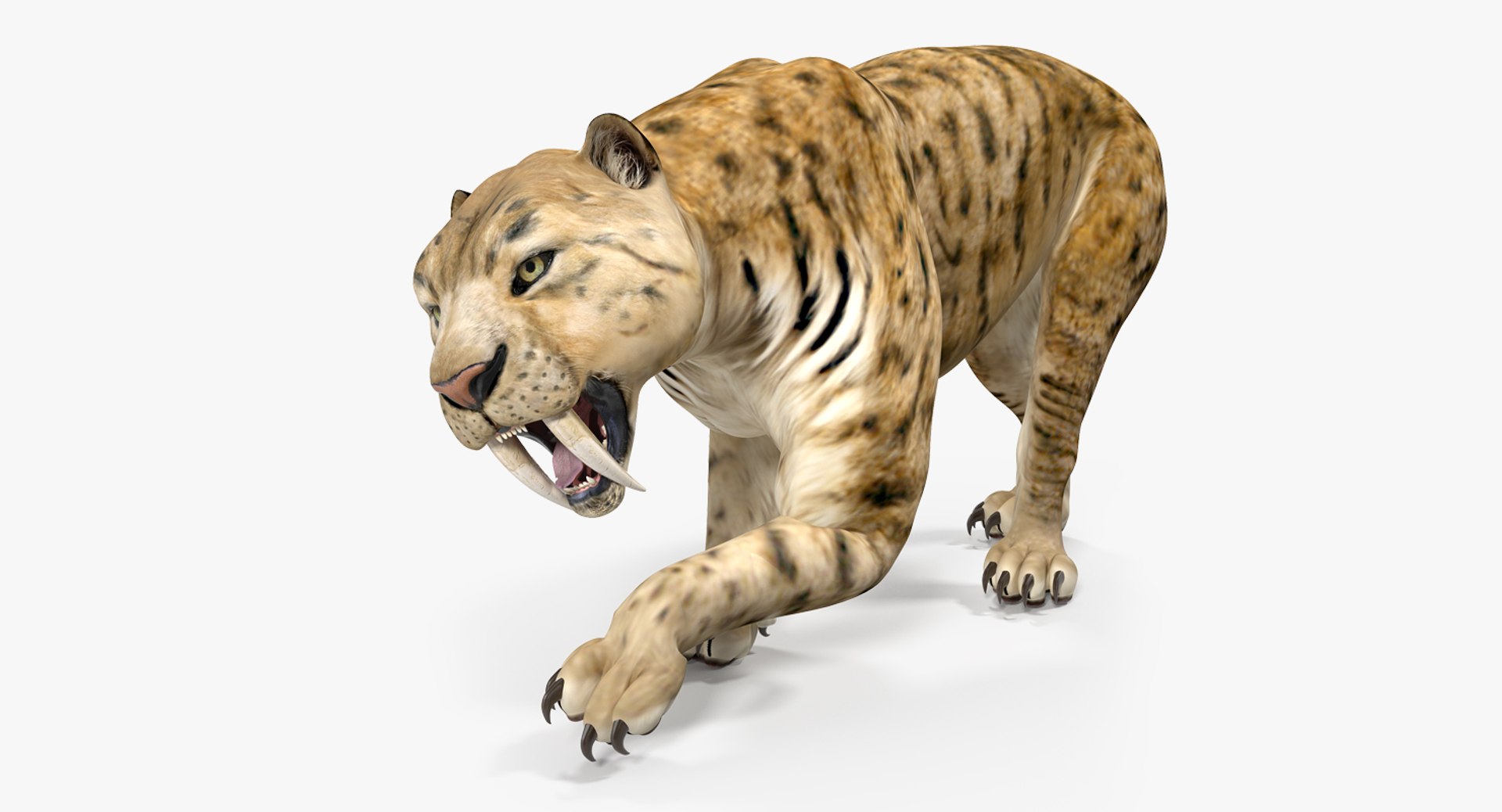 Saber Tooth Tiger Rigged 3D - TurboSquid 1329668