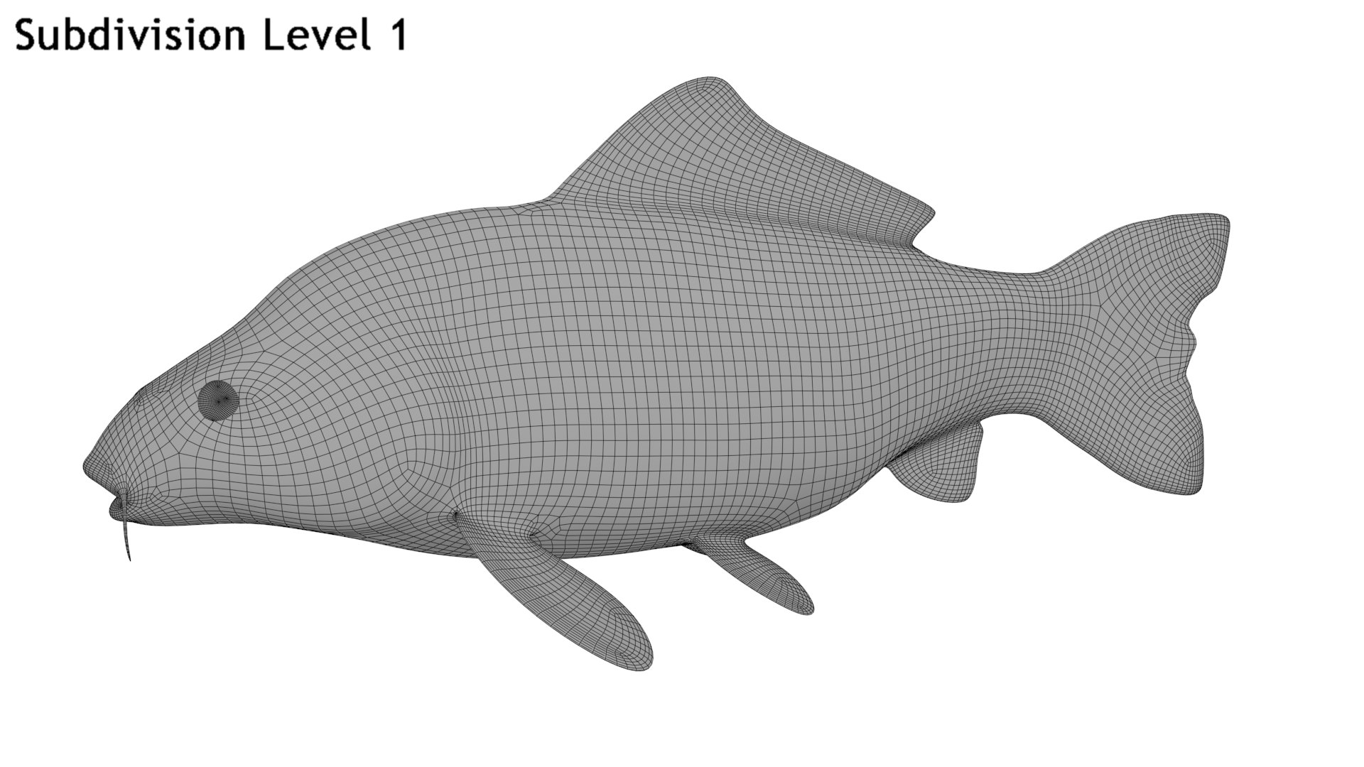 Carp Fish Rigged Animated 3D Model - TurboSquid 1832905