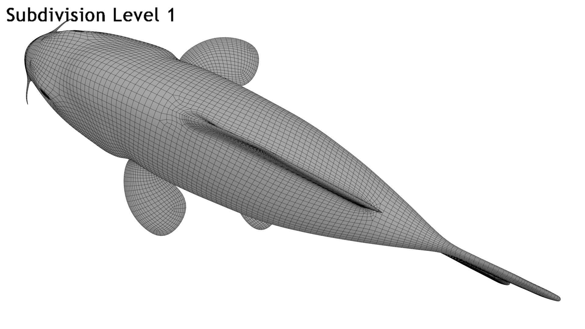 Carp Fish Rigged Animated 3D Model - TurboSquid 1832905