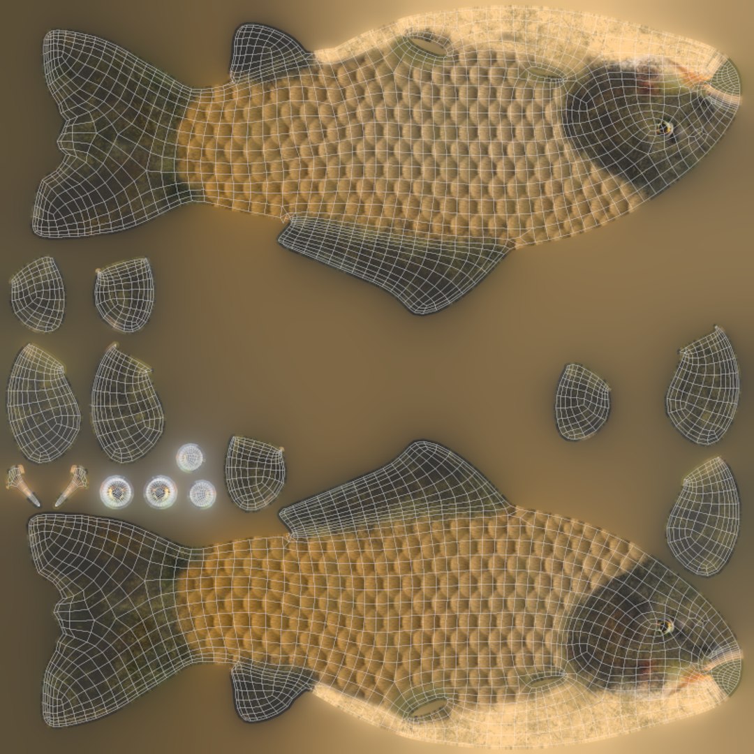 Carp Fish Rigged Animated 3D Model - TurboSquid 1832905