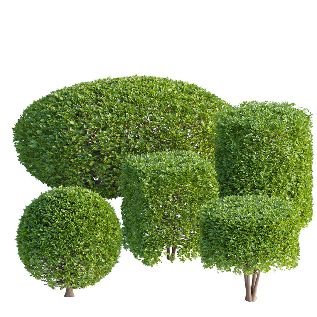 3D Bushes Collection Vol 61 Model - TurboSquid 1957606
