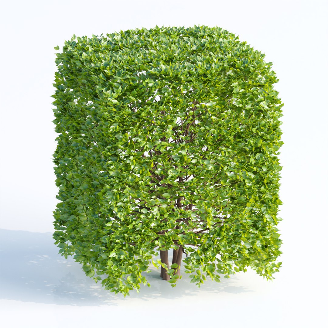 3D Bushes Collection Vol 61 Model - TurboSquid 1957606