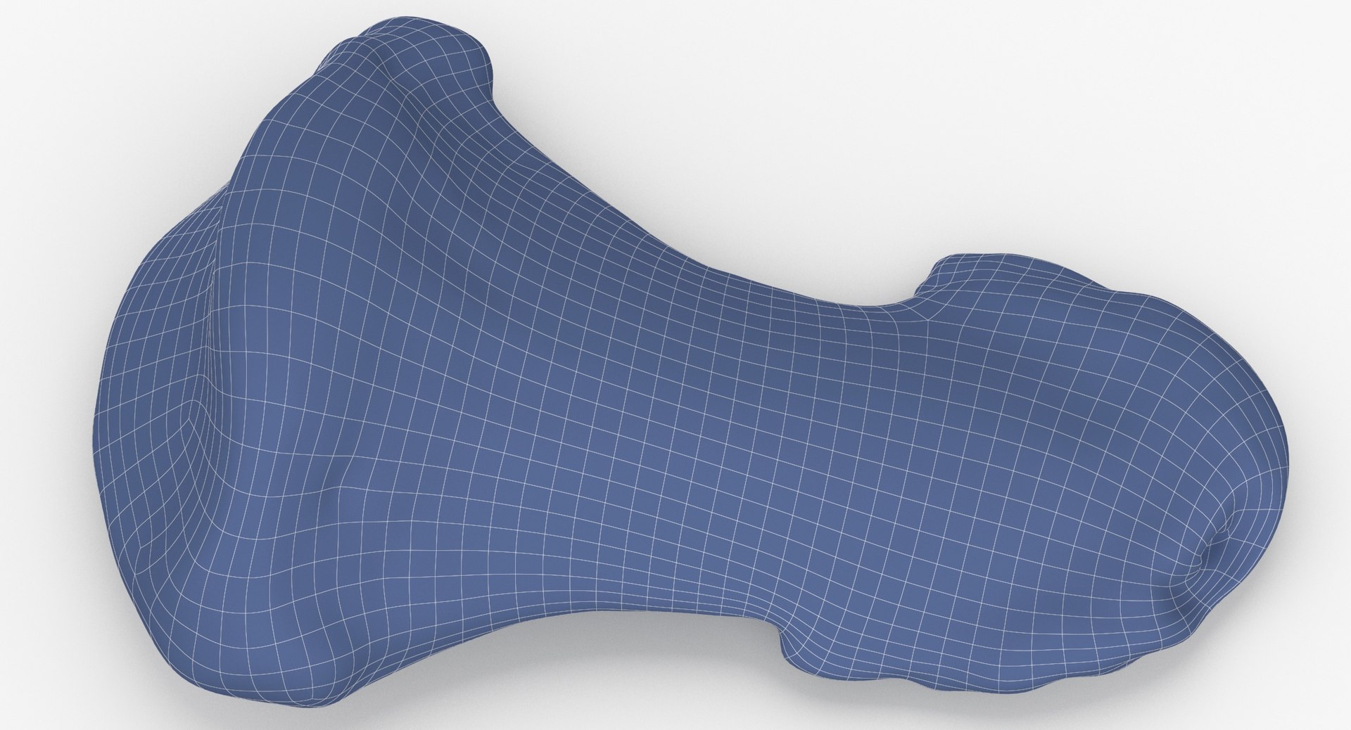 Distal Phalanx Bone Big Model - TurboSquid 1520910