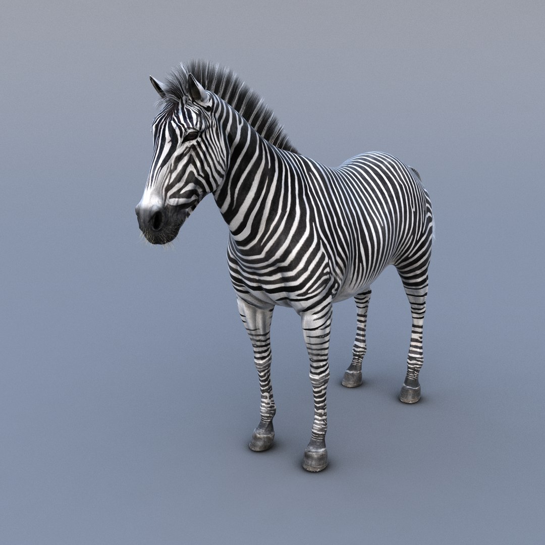 Zebra Max