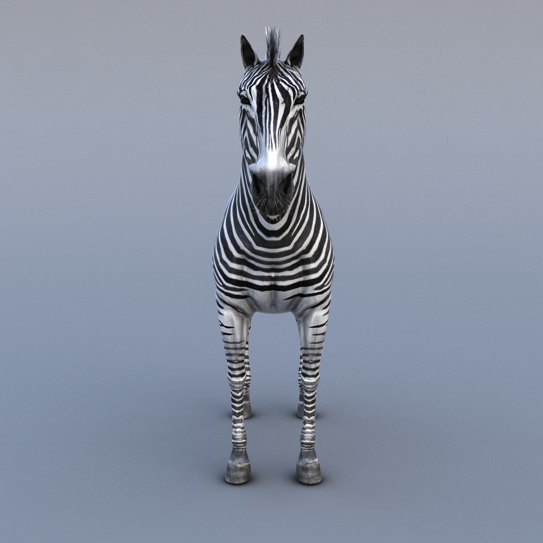 Zebra Max