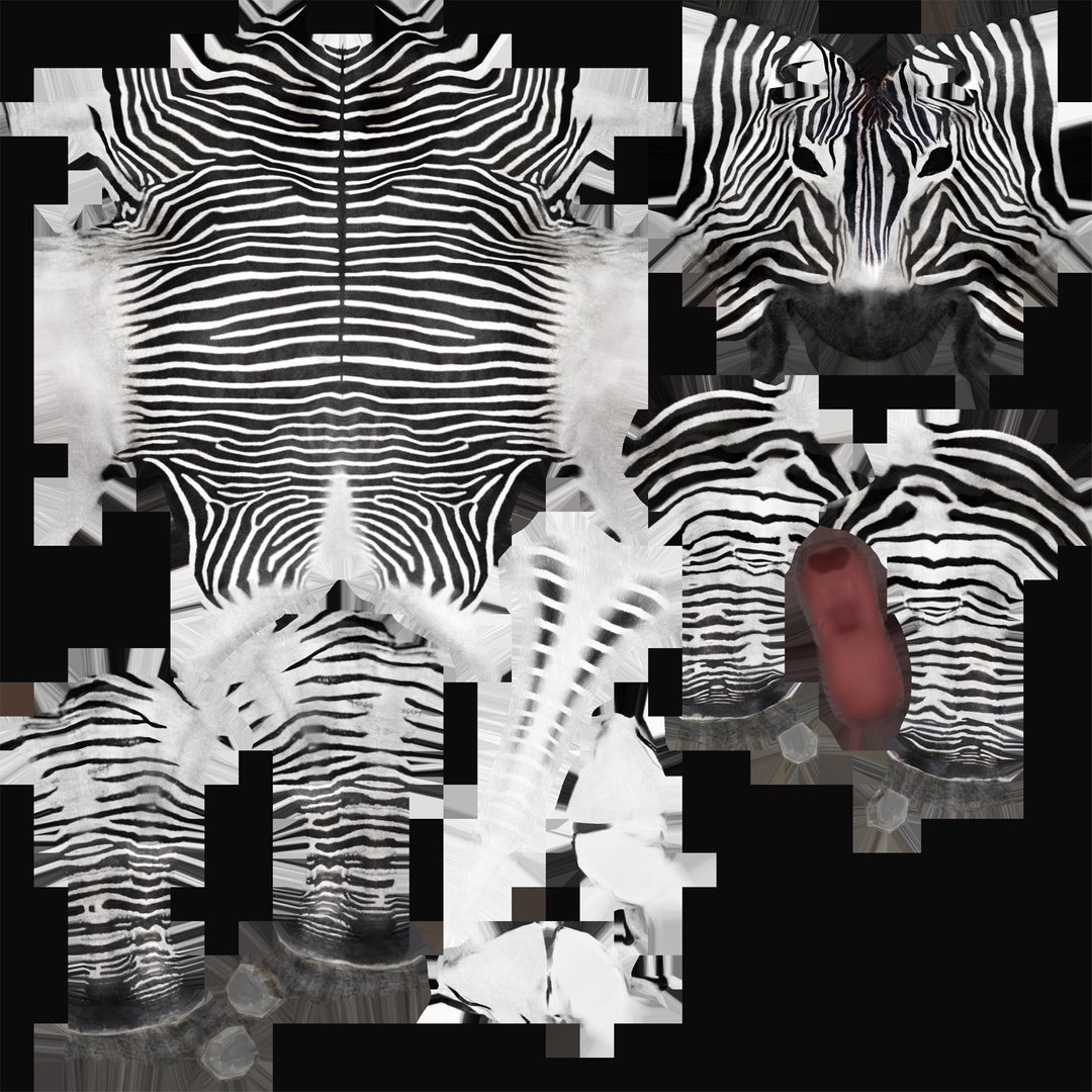 Zebra Max