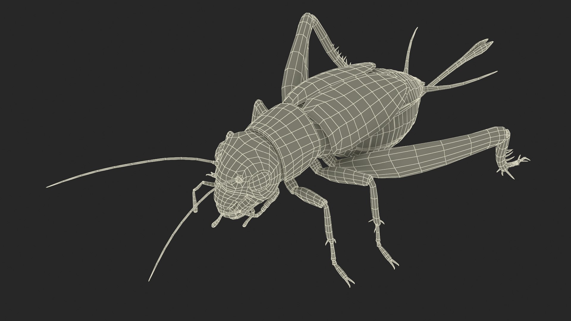 Field Cricket 3D Model - TurboSquid 2248529