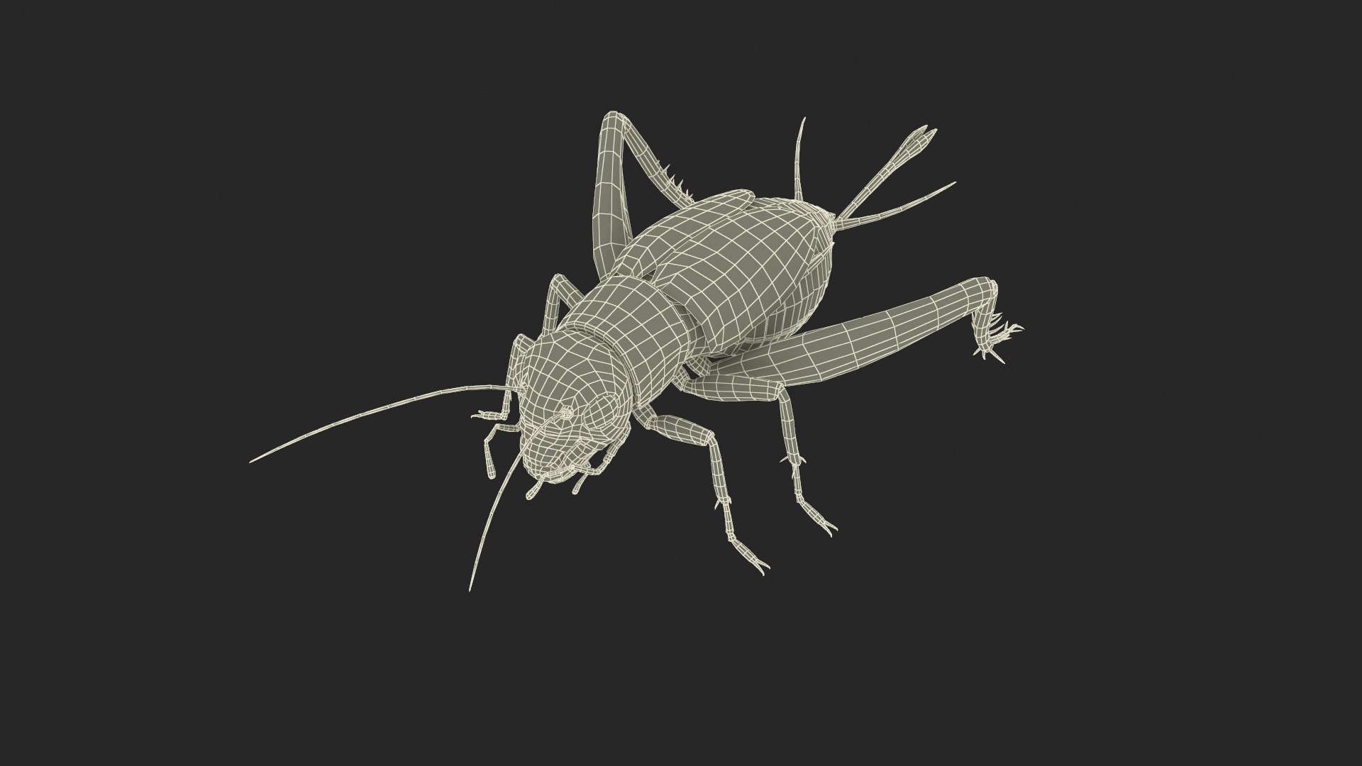 Field Cricket 3D Model - TurboSquid 2248529