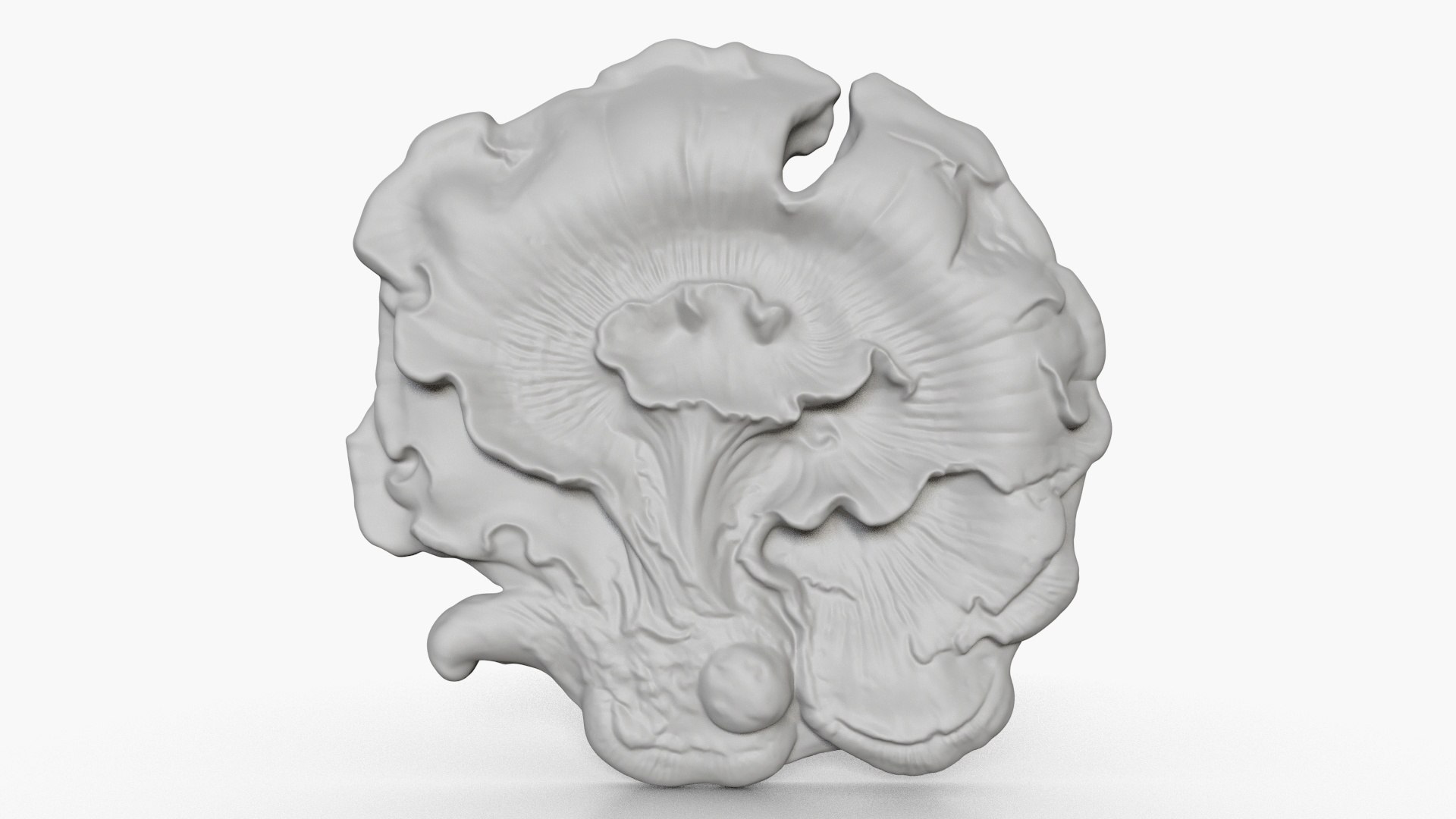 Fungus Fossil 15 3D Model - TurboSquid 2298643