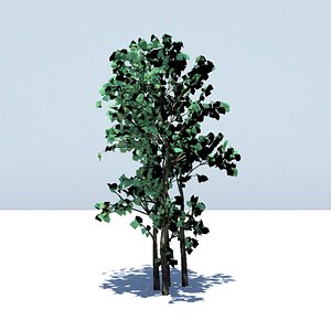 Low Poly Ash Tree 3D Models for Download | TurboSquid