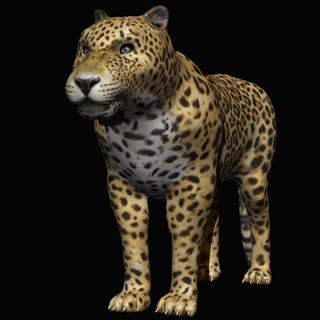 3D Fully Rigged - TurboSquid 1700928