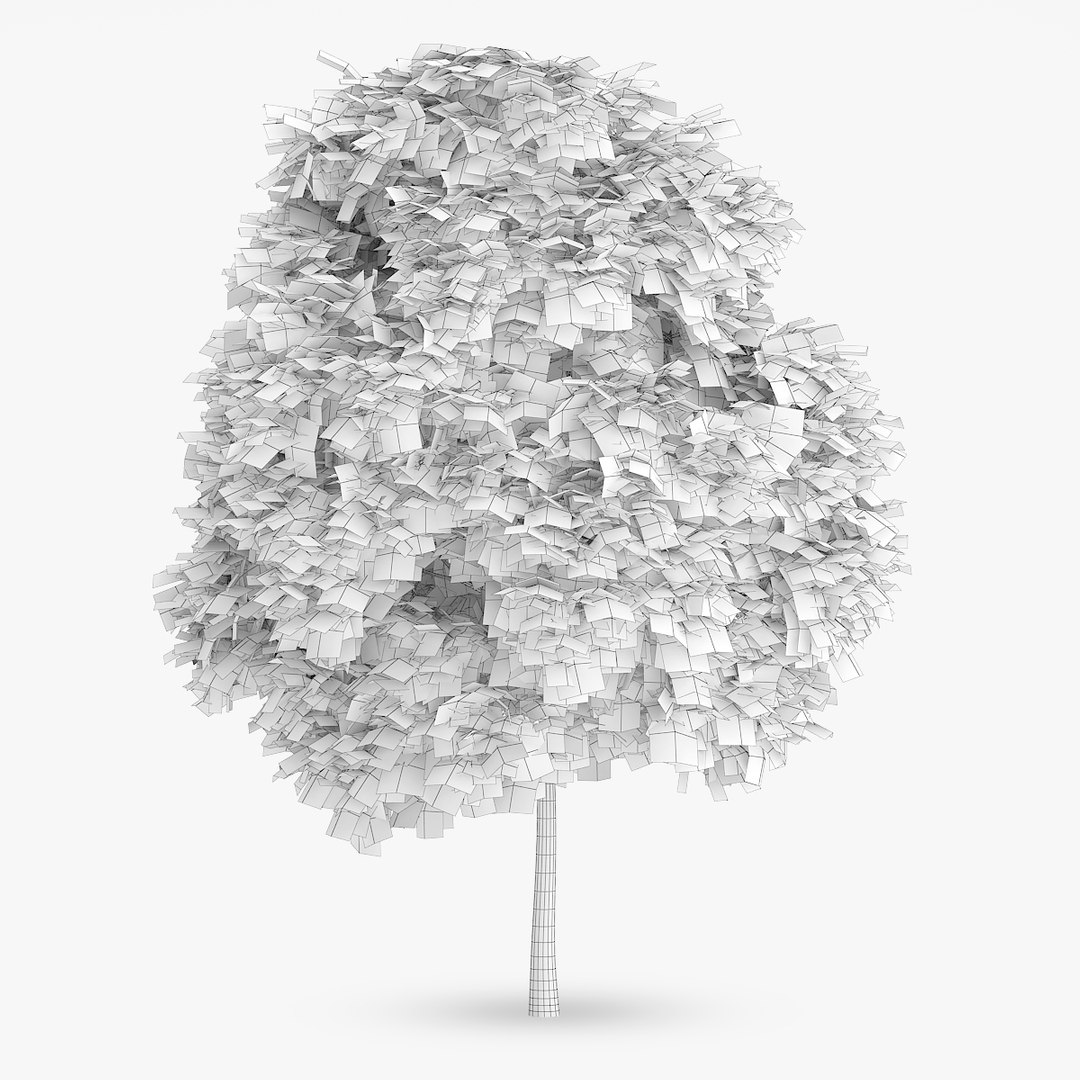 Common Whitebeam Trees 5 3d Model