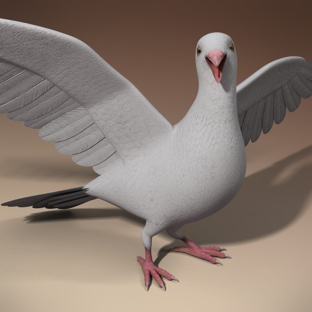 Pigeon - Rigged Dove Animation 3d Model