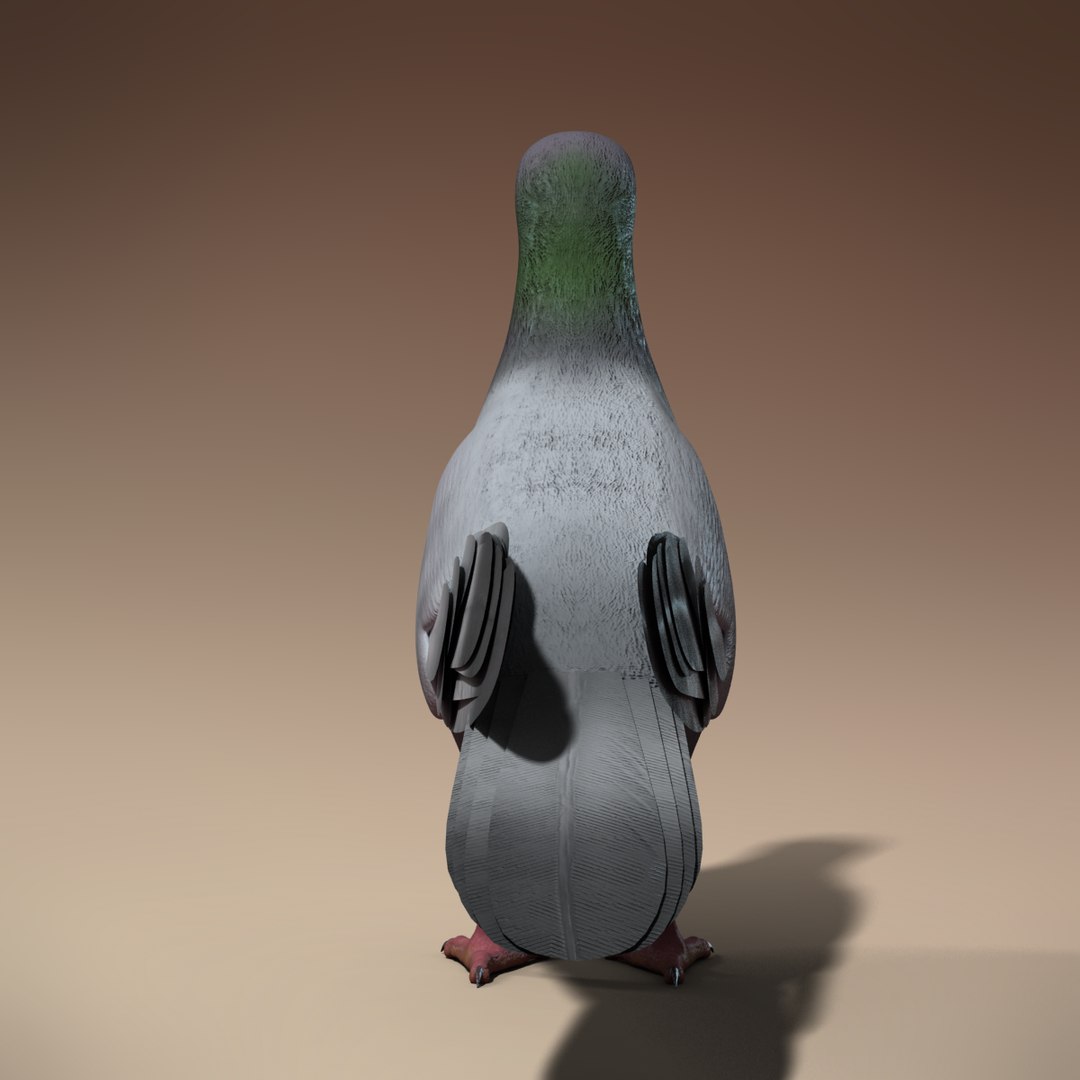 Pigeon - Rigged Dove Animation 3d Model