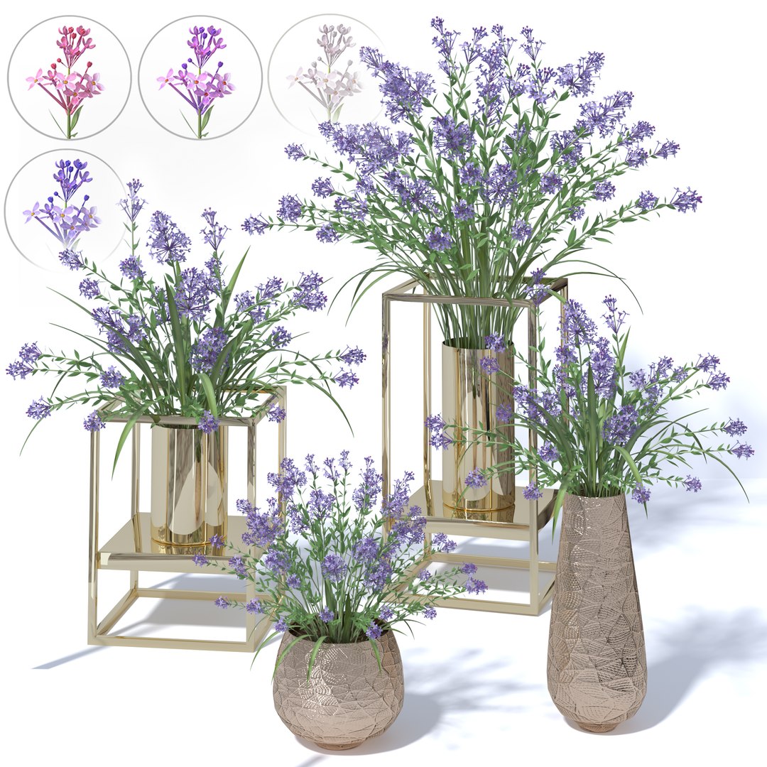 3D 4 colors lilac pots - TurboSquid 1400790