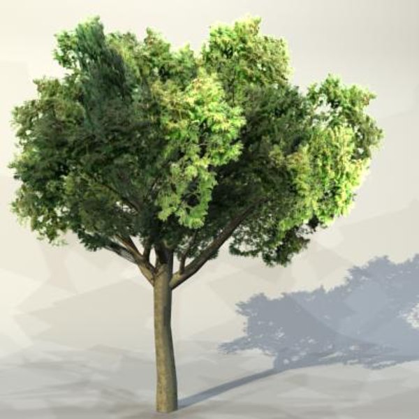 3d pc tree model
