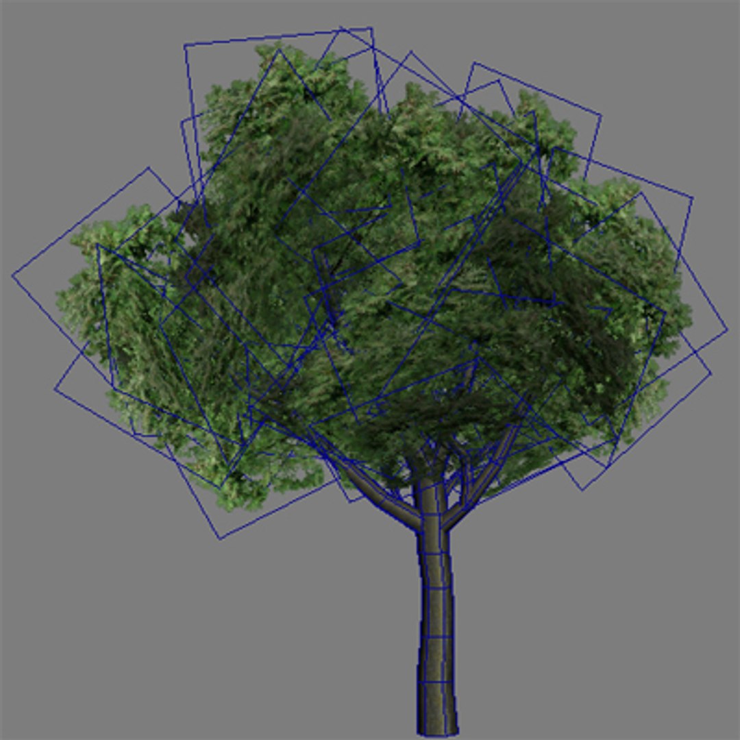 3d Pc Tree Model