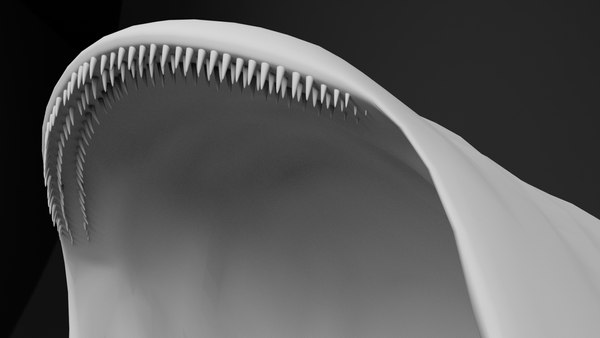 Bloop 3D model - TurboSquid 1803477