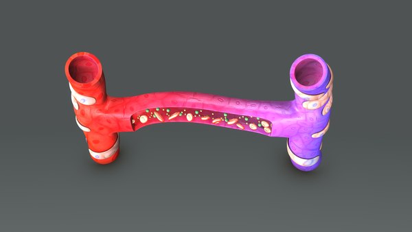 capillary diffusion 3d obj