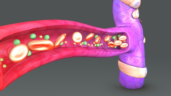capillary diffusion 3d obj