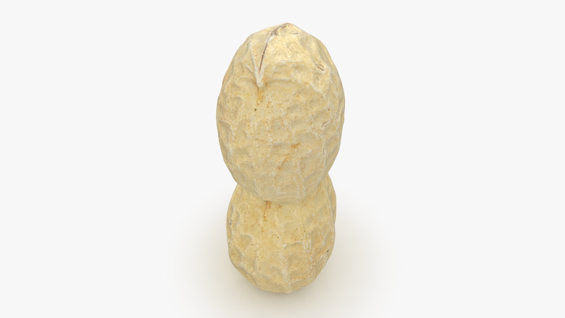 Peanut Shell 03 Model - TurboSquid 1960105