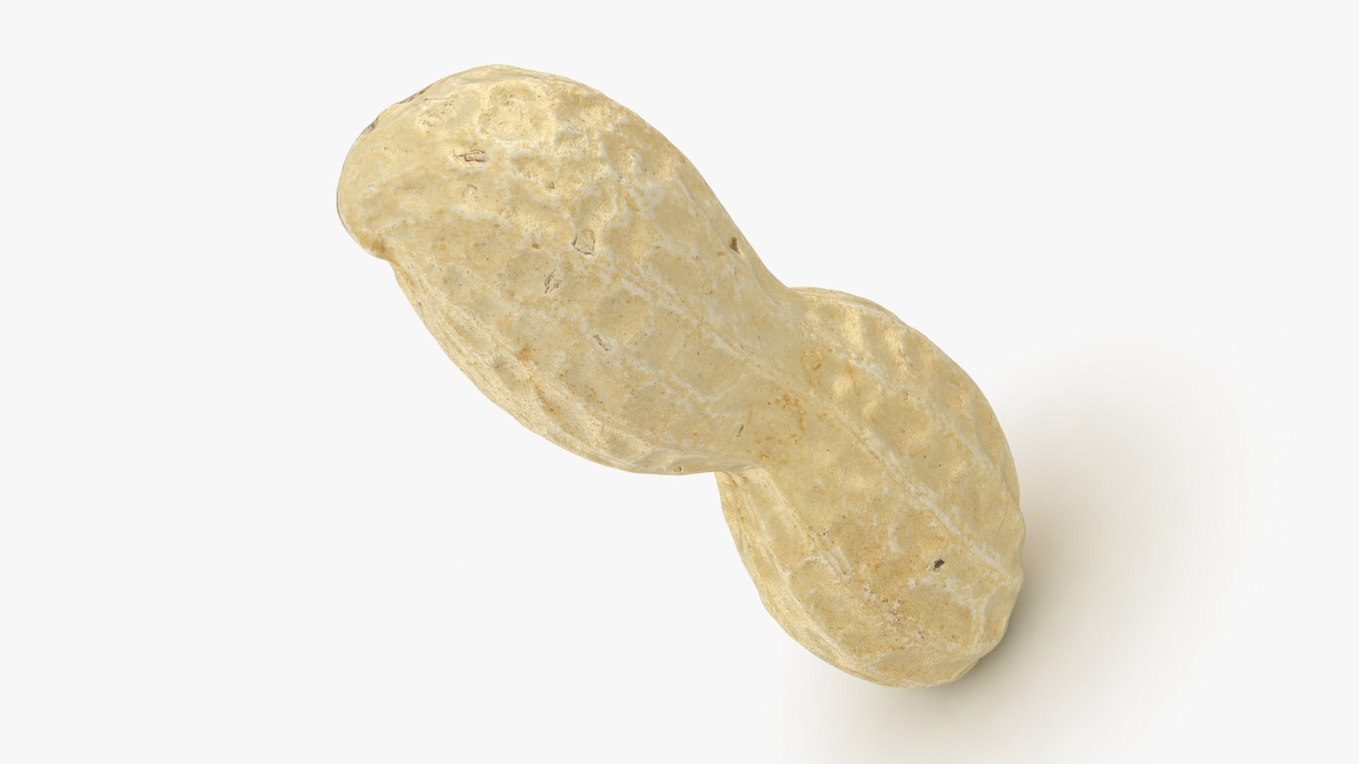 Peanut Shell 03 Model - TurboSquid 1960105