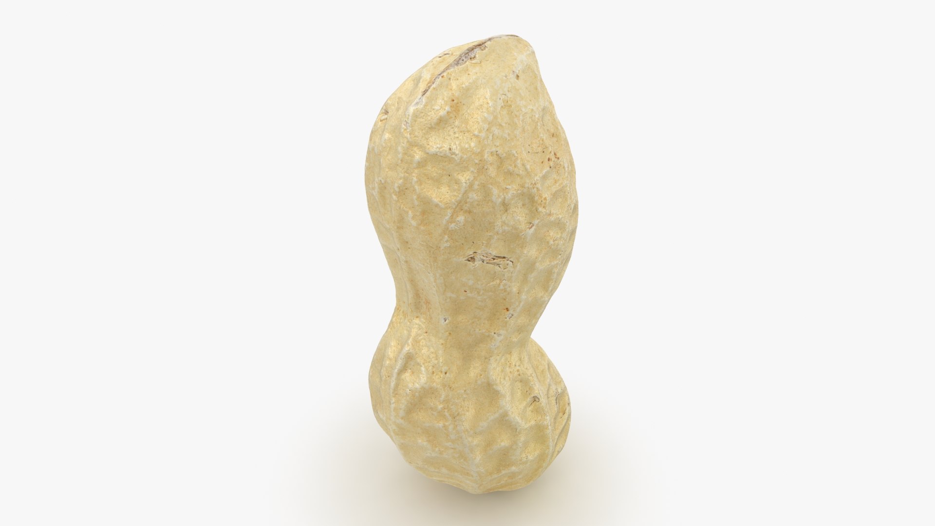 Peanut Shell 03 Model - TurboSquid 1960105