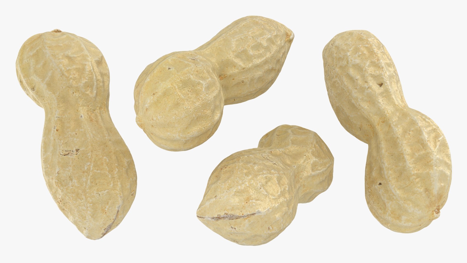 Peanut Shell 03 Model - TurboSquid 1960105