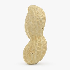 3D Peanut Models - Browse & Download Formats - TurboSquid