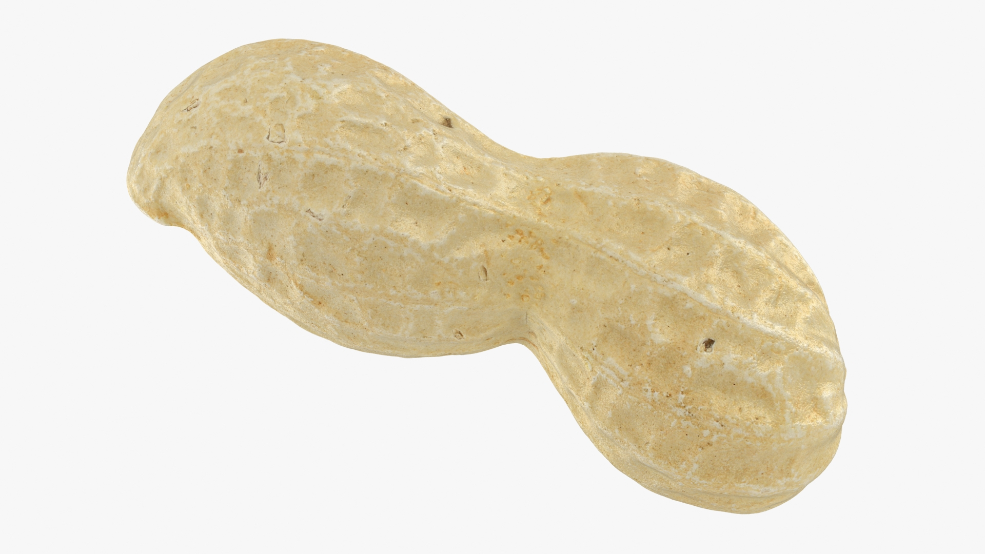 Peanut Shell 03 Model - TurboSquid 1960105