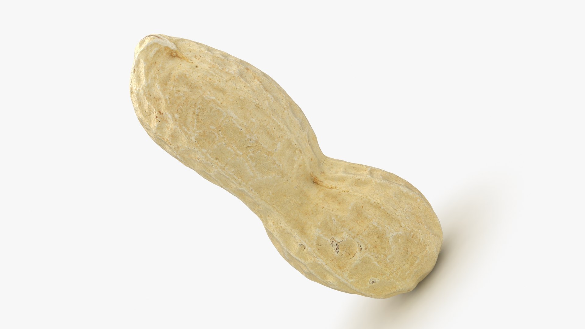 Peanut Shell 03 Model - TurboSquid 1960105