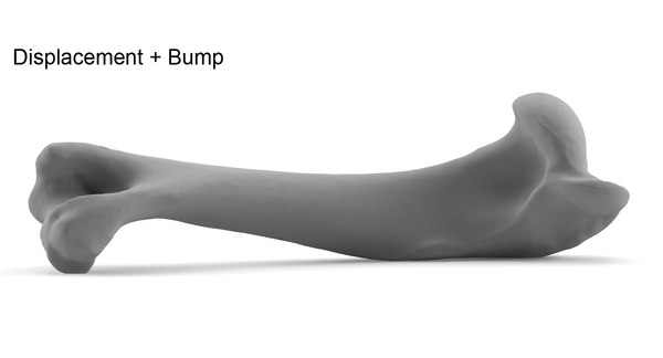 3d model realistic bone animation