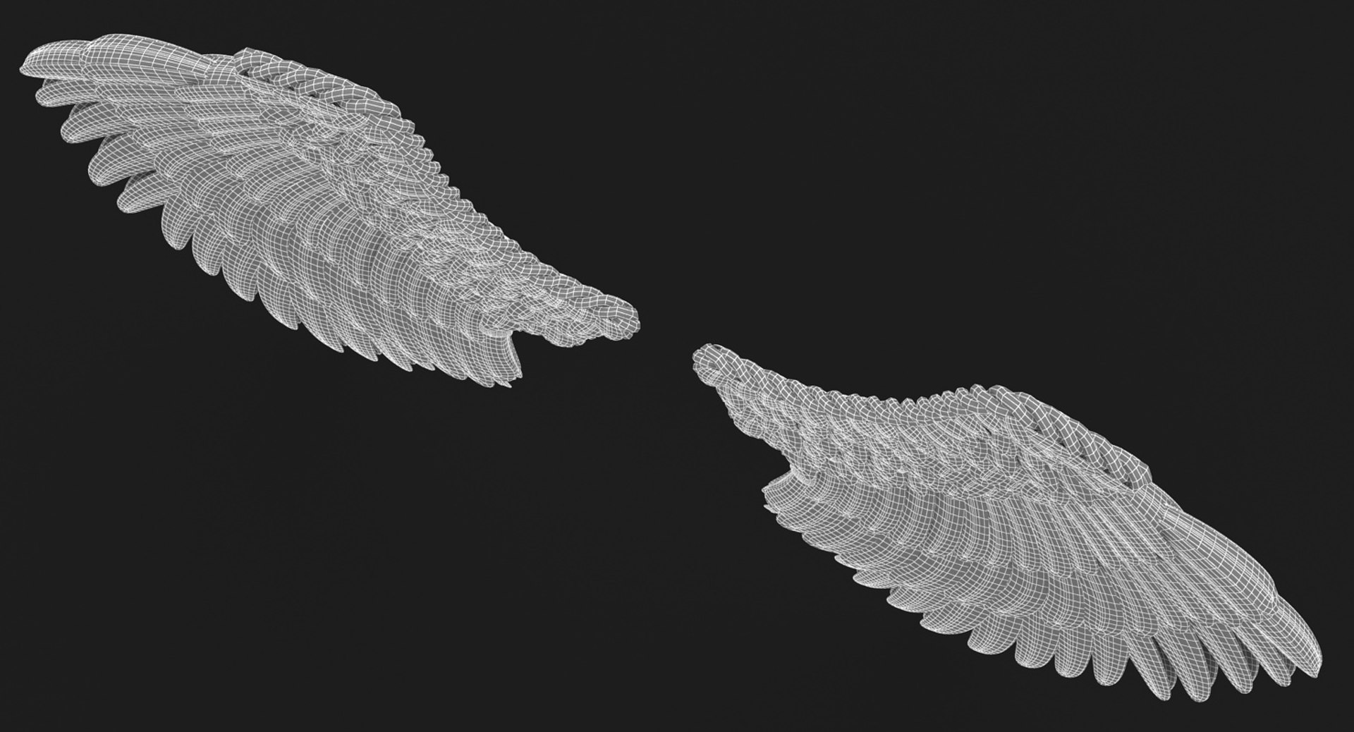 3d Model Realistic Angel Wings White